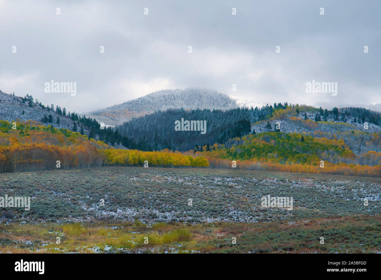 The first snow in the utah mountains during fall Stock Photo - Alamy