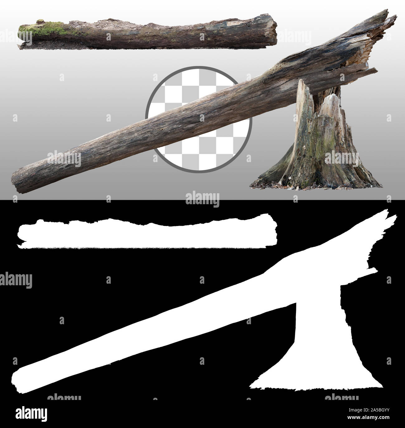 Cut out tree stump. Old tree stub isolated on transparent background ...