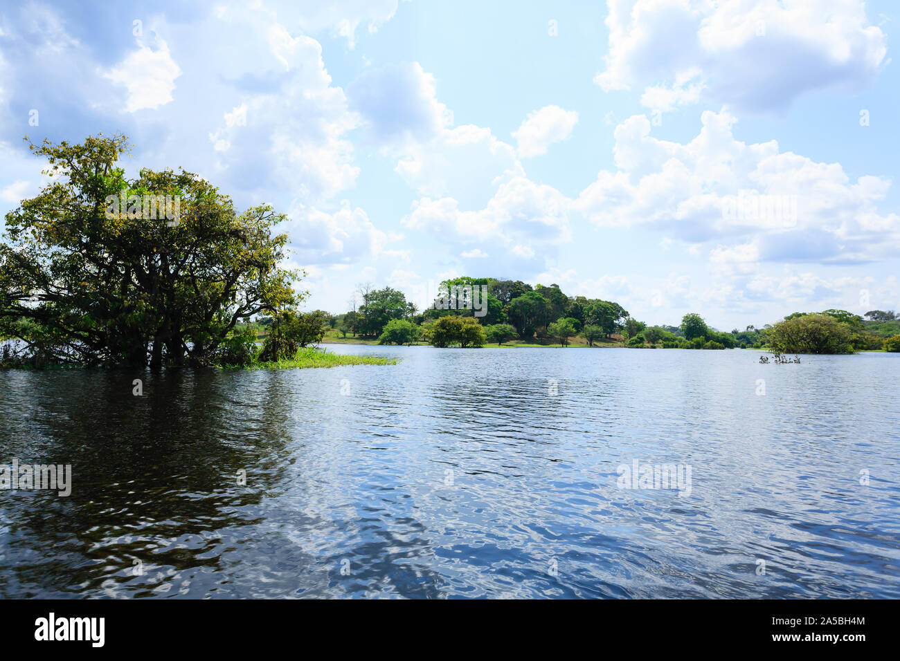 Panorama from Amazon rainforest, Brazilian wetland region. Navigable ...