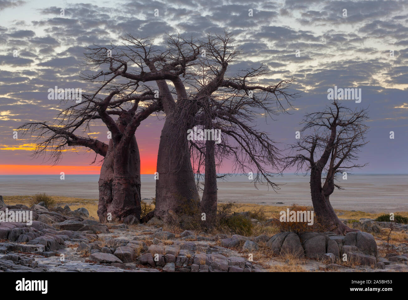 Golden glow of african sunrise hi-res stock photography and images - Alamy