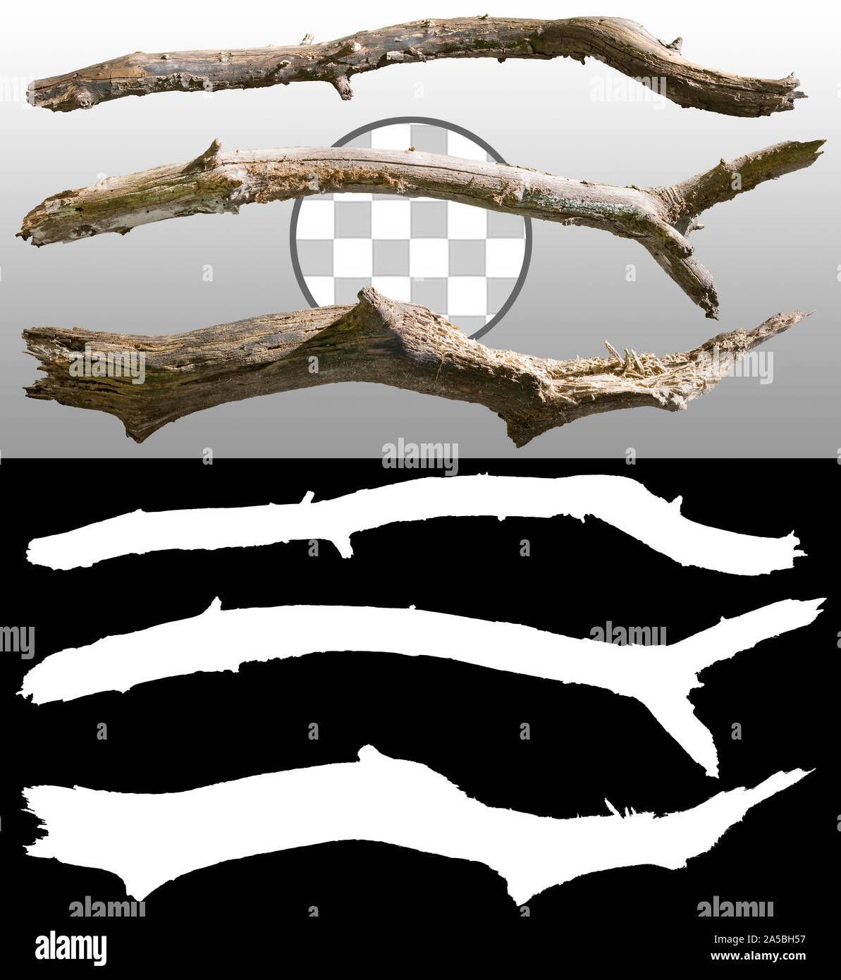 Cut out dead branches. Dry tree branch isolated on transparent ...