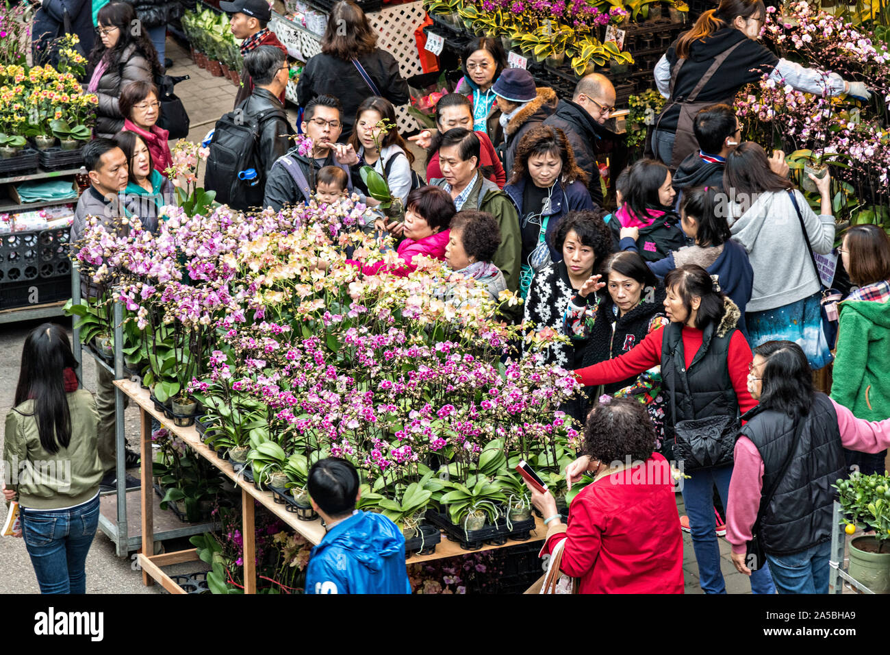 People gather around a fresh shipment of Orchids as they shop for ...