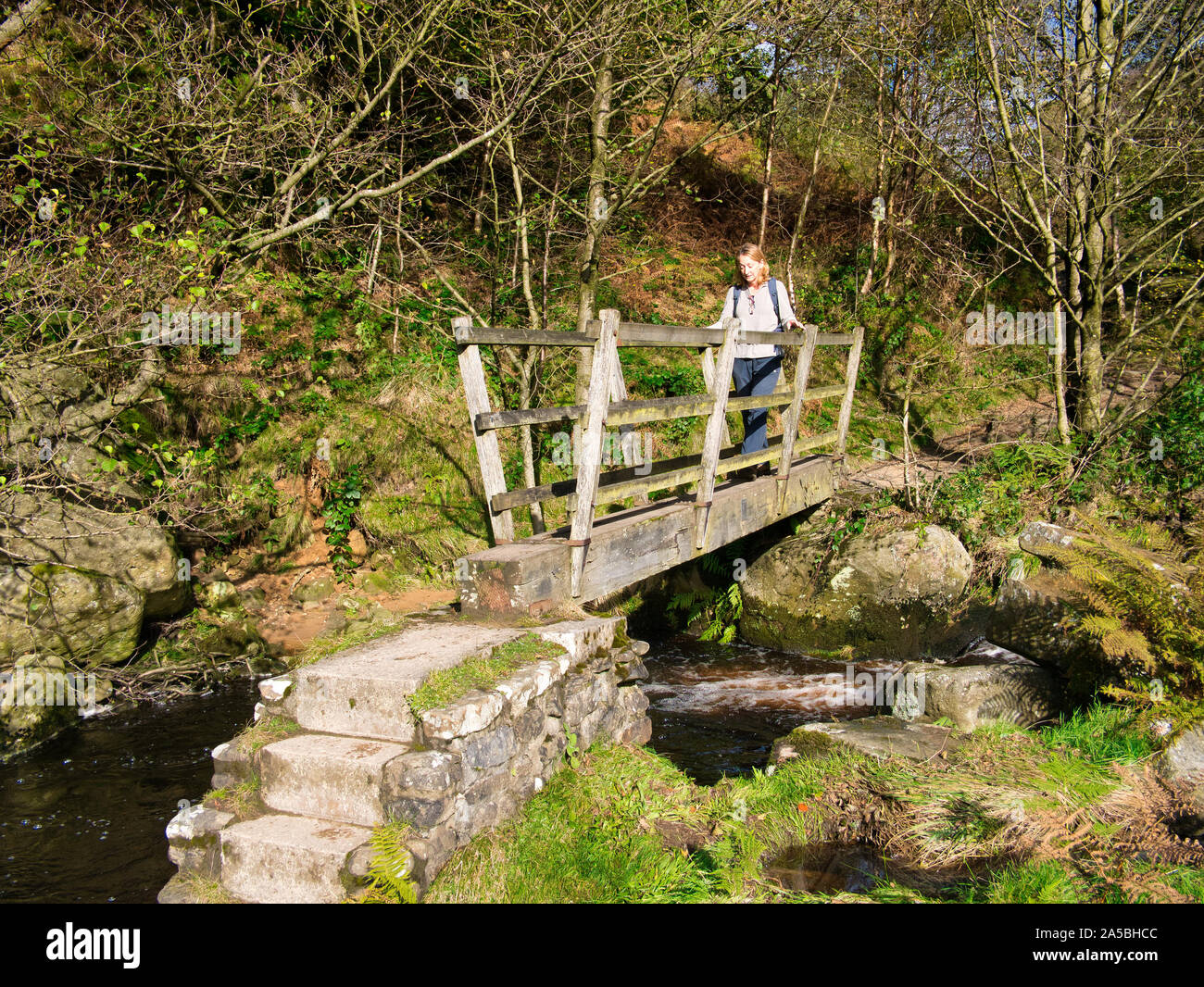 A female / woman walker crosses a single track wooden footpath bridge ...