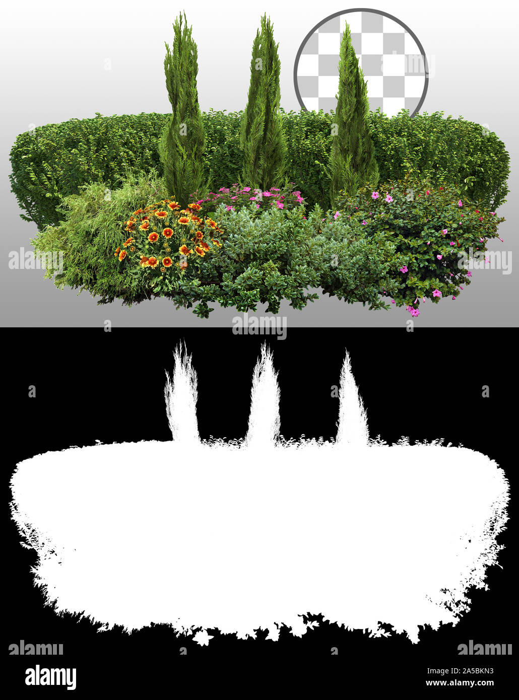 Cutout green hedge and flowerbed. Garden design isolated on transparent ...