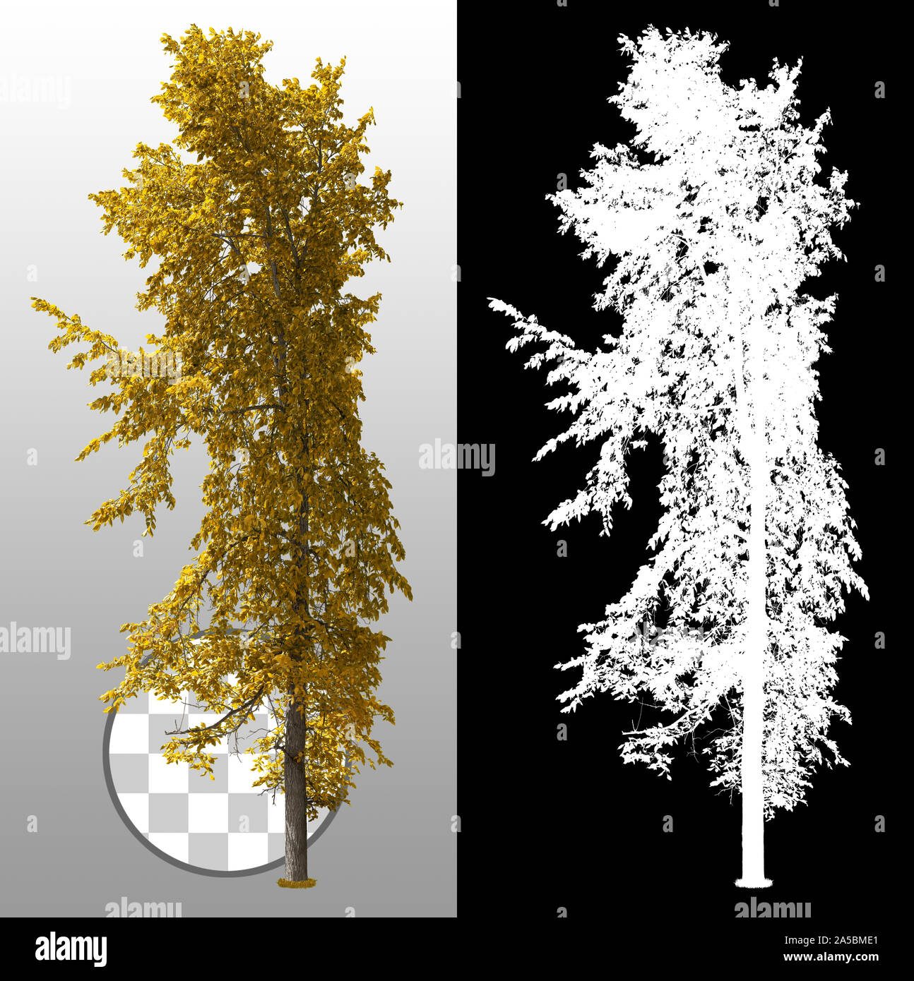 Tree alpha mask hi-res stock photography and images - Alamy