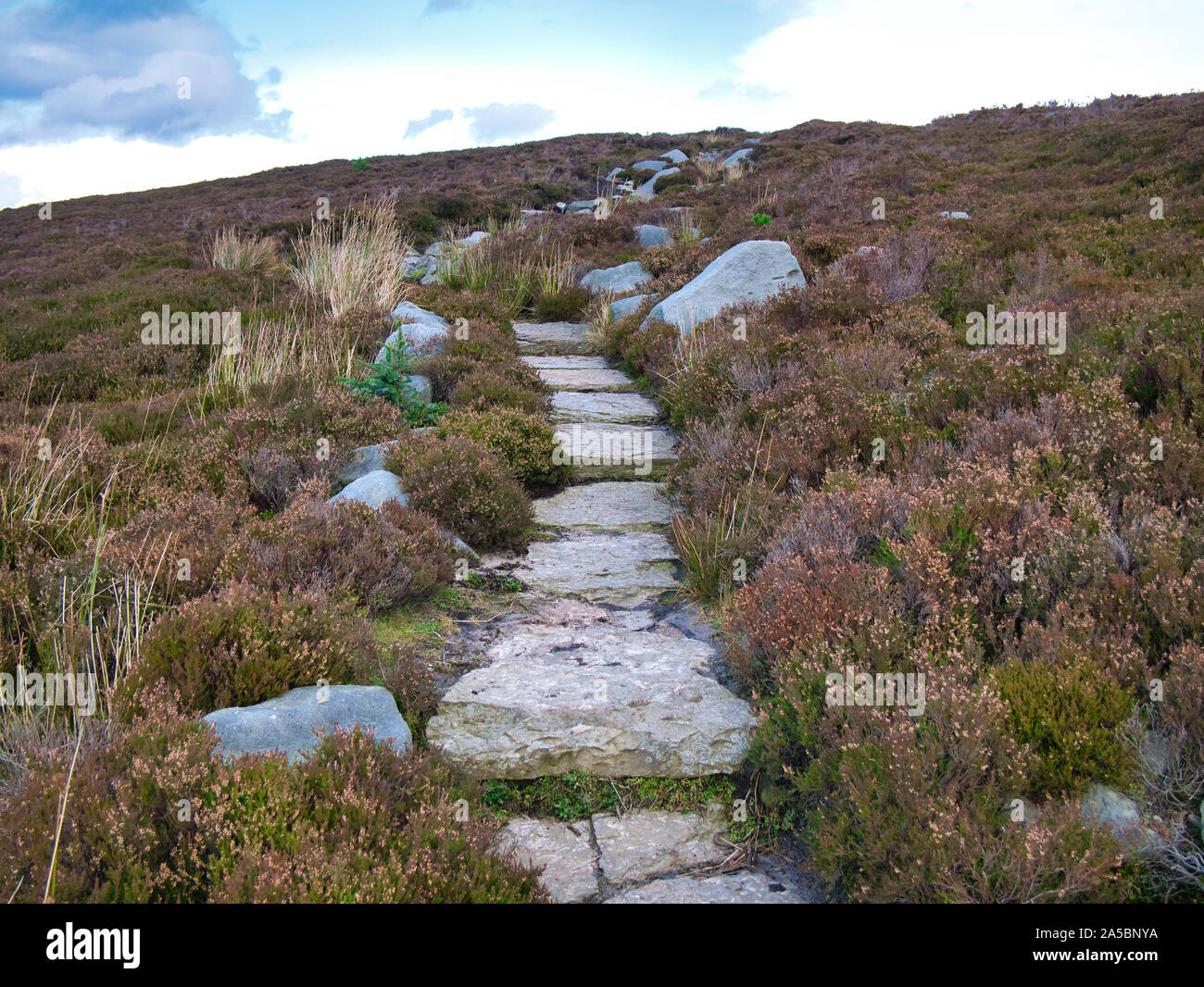 Steps paving hi-res stock photography and images - Alamy