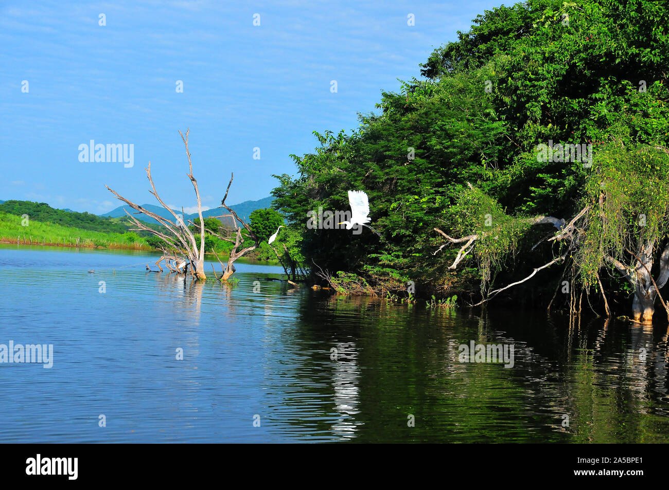 Lake picachos mexico hi-res stock photography and images - Alamy