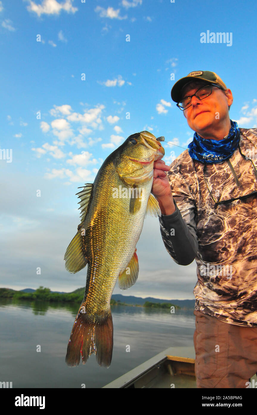 Picachos hi-res stock photography and images - Alamy