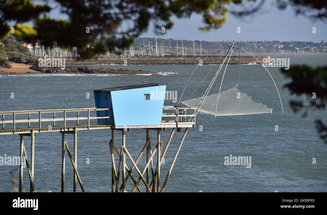 Loire atlantique fish hi-res stock photography and images - Alamy