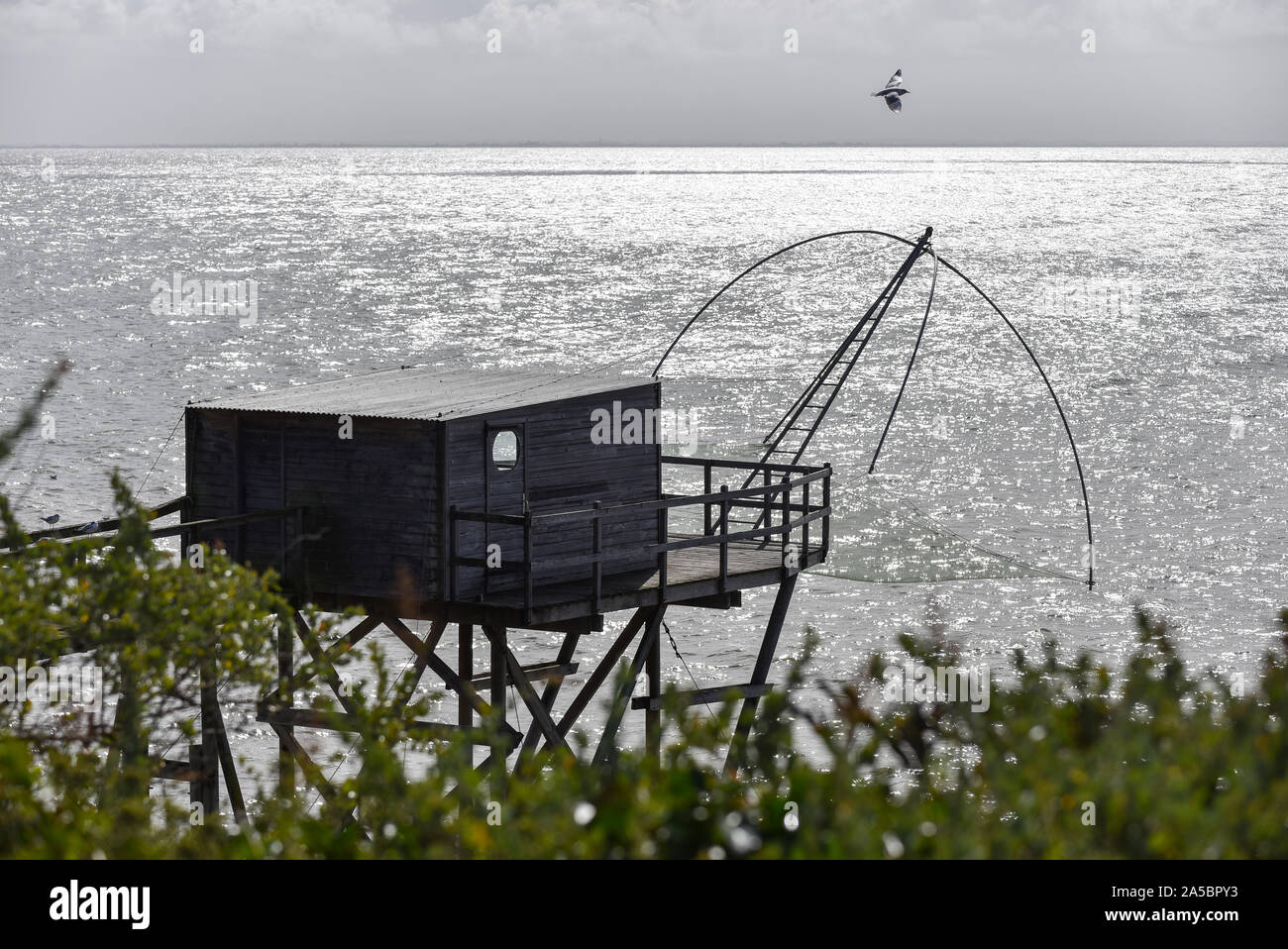 Loire atlantique fish hi-res stock photography and images - Alamy