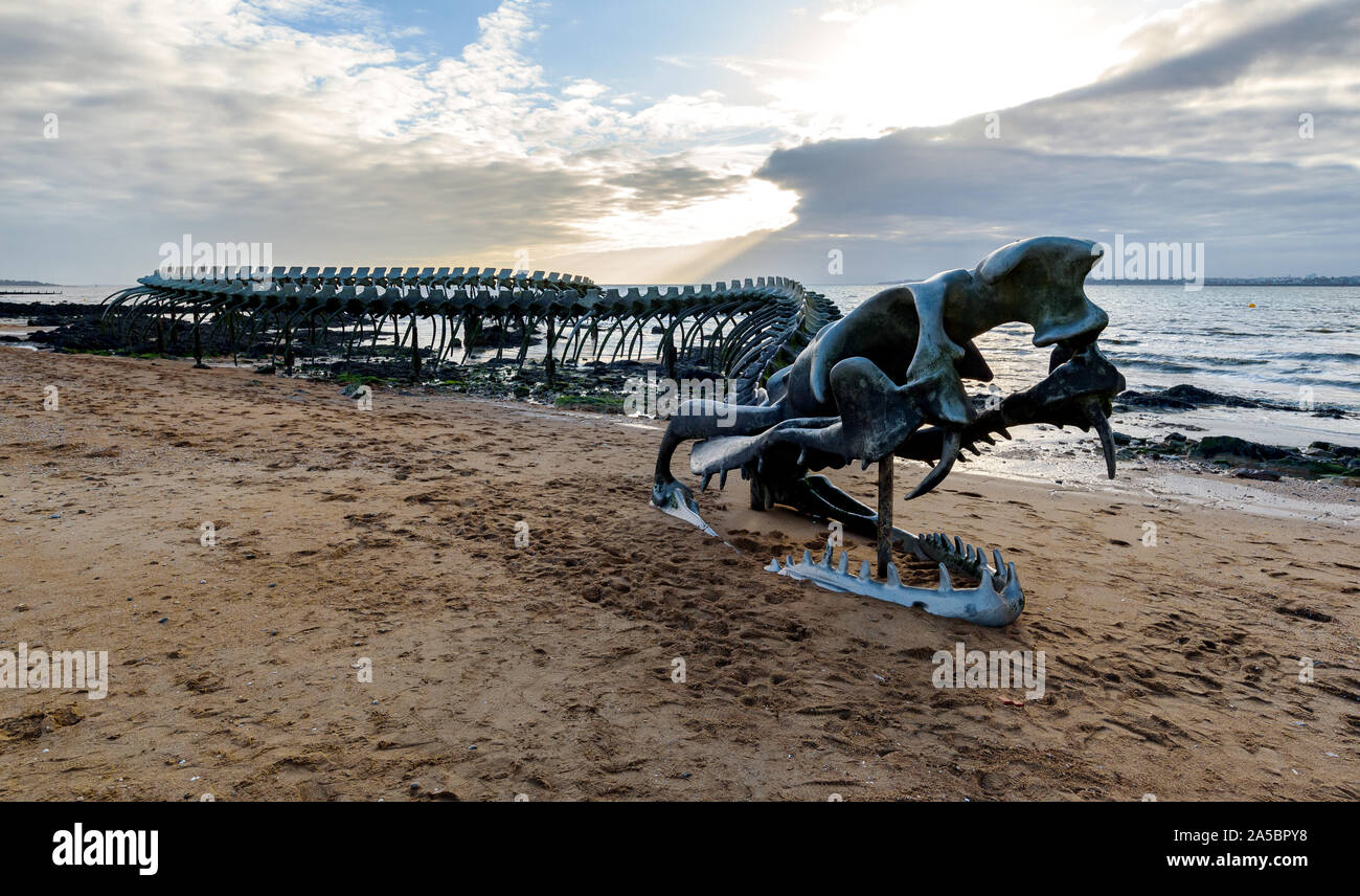 Snake skeleton hi-res stock photography and images - Alamy