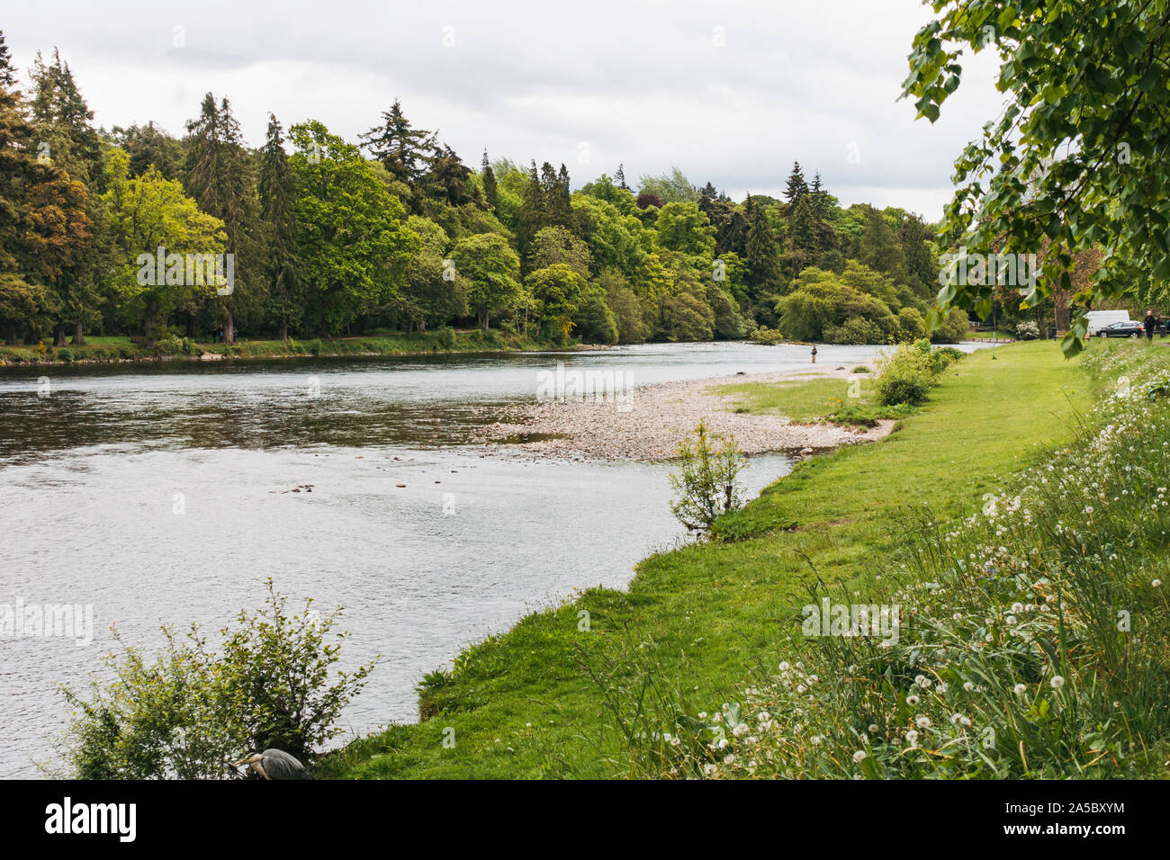 Upstream on the River Ness, looking toward Ness Islands, on a brisk ...