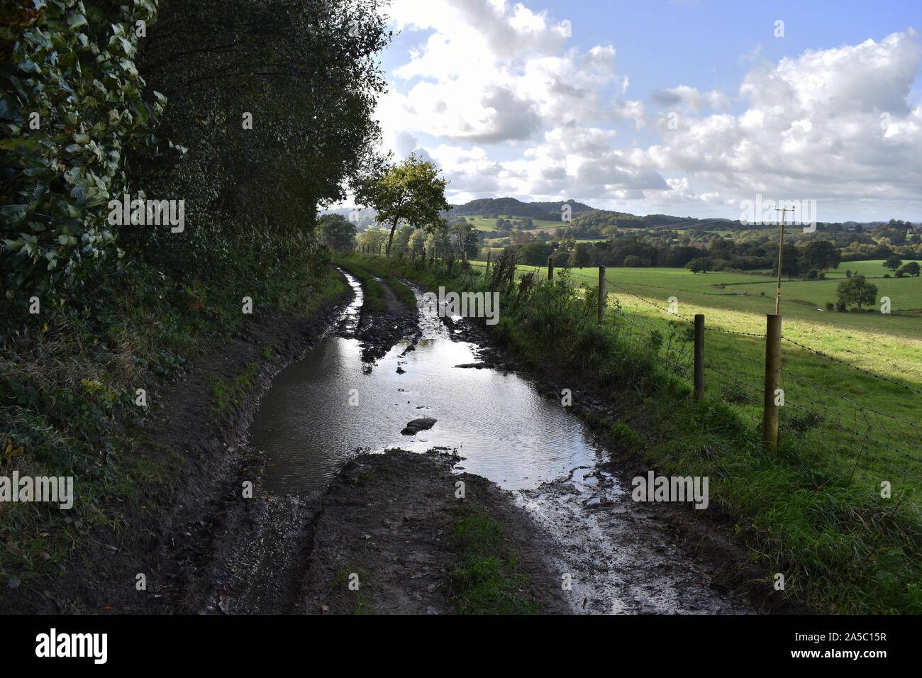 Tisbury wiltshire hi-res stock photography and images - Alamy
