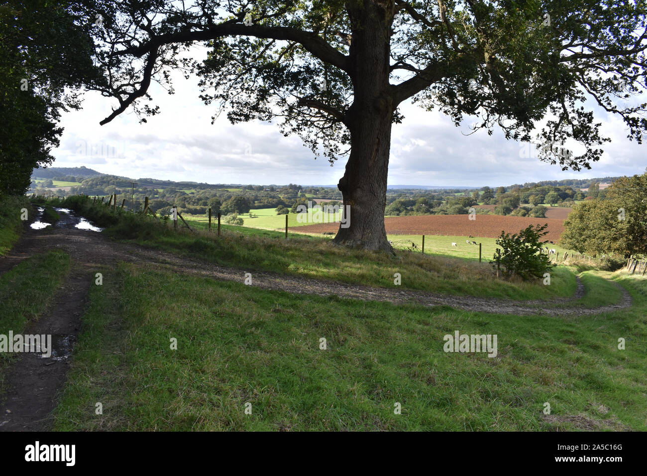 Tisbury Wiltshire High Resolution Stock Photography and Images - Alamy