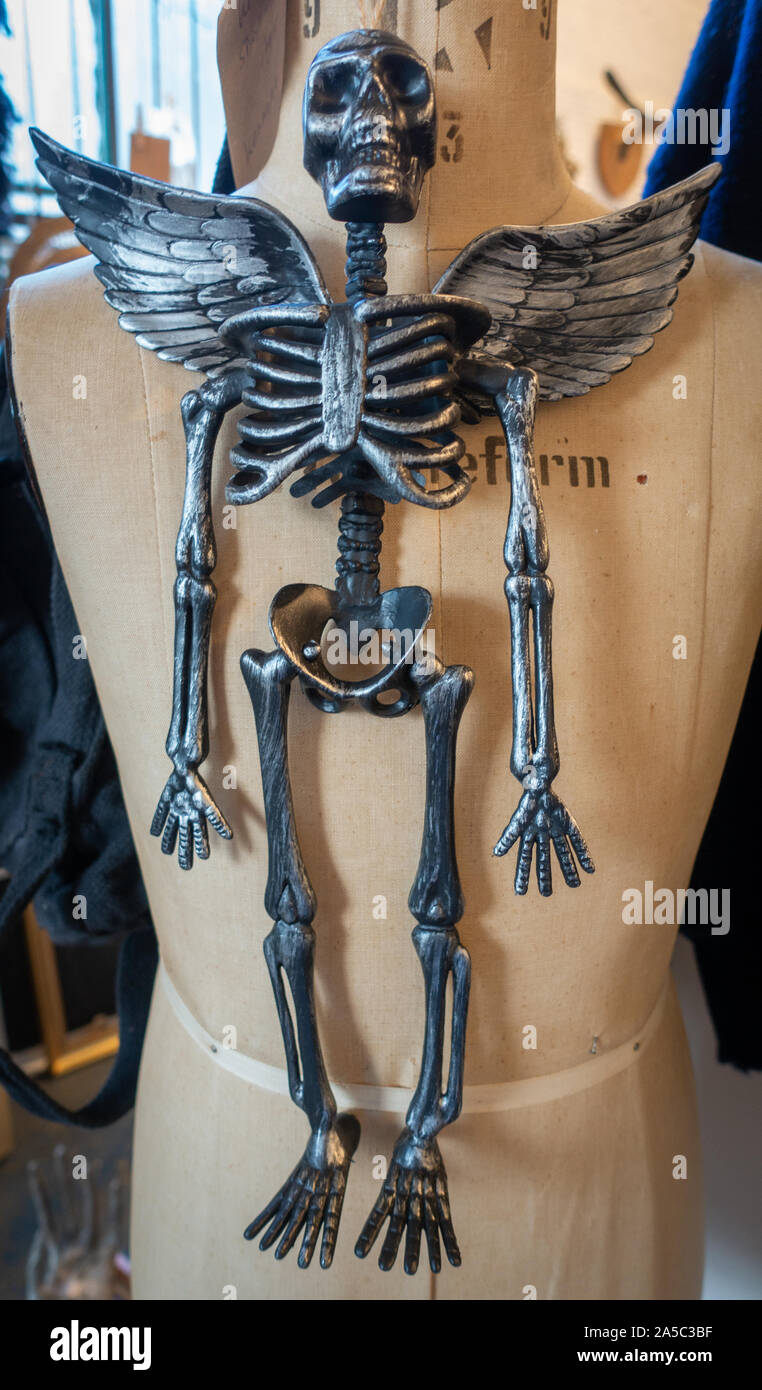 Model skeleton with wings hi-res stock photography and images - Alamy