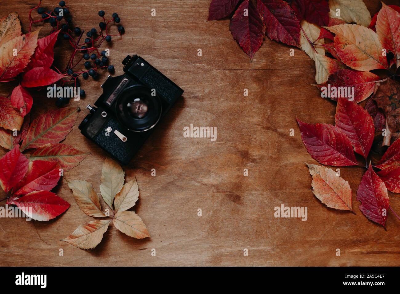 Nutrition season camera hi-res stock photography and images - Alamy