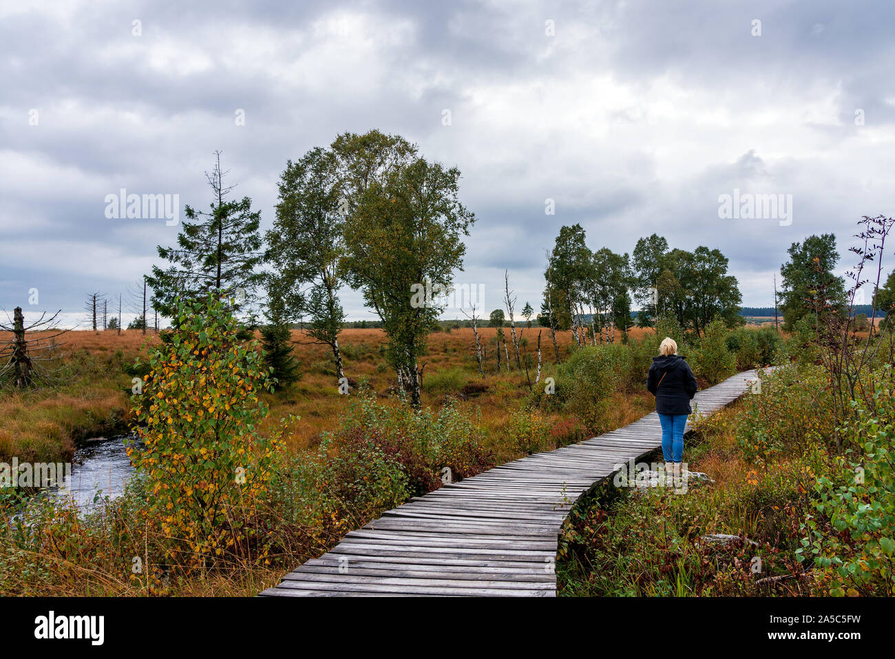 Moorland landscape of the High Fens in autumn, Belgium Stock Photo - Alamy