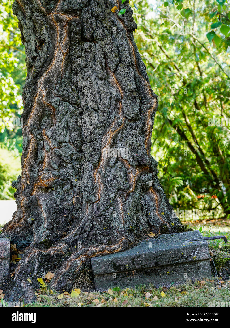 Granite block hi-res stock photography and images - Alamy
