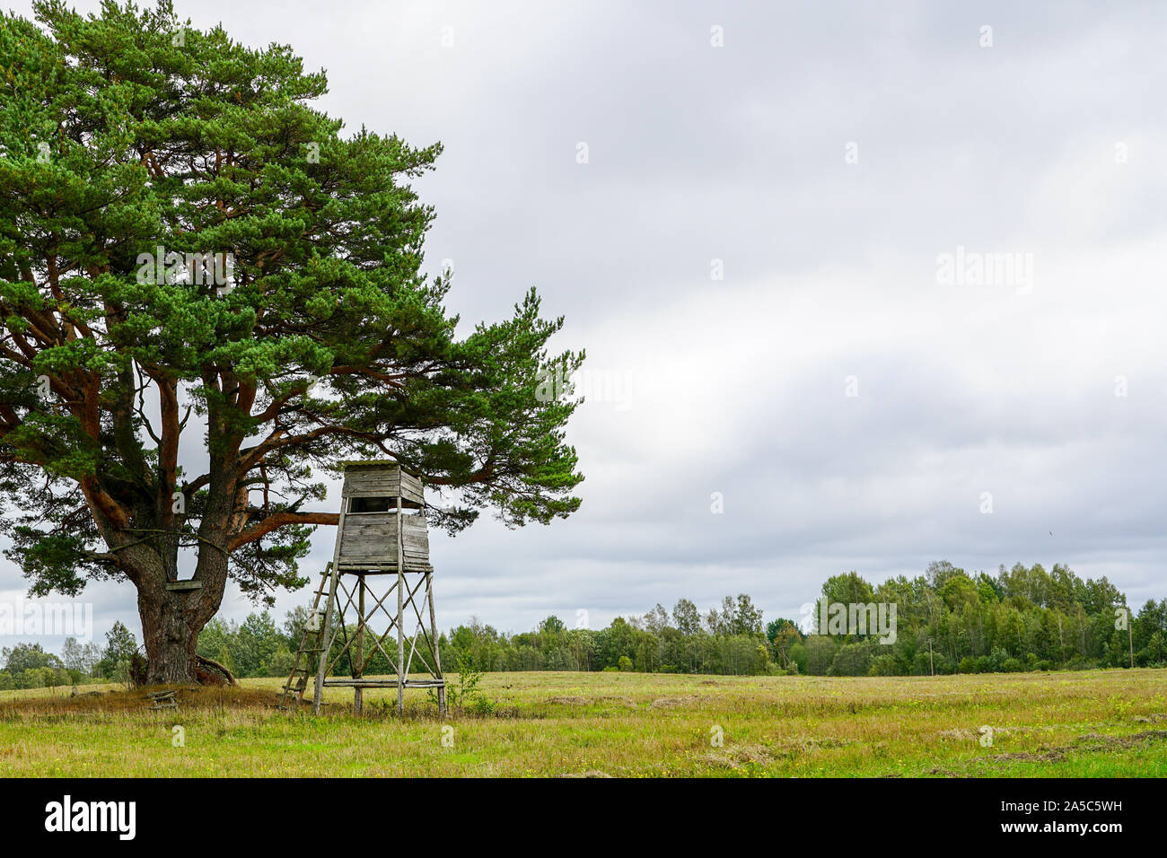 a observation tower at the edge of the forest for hunting wild animals ...
