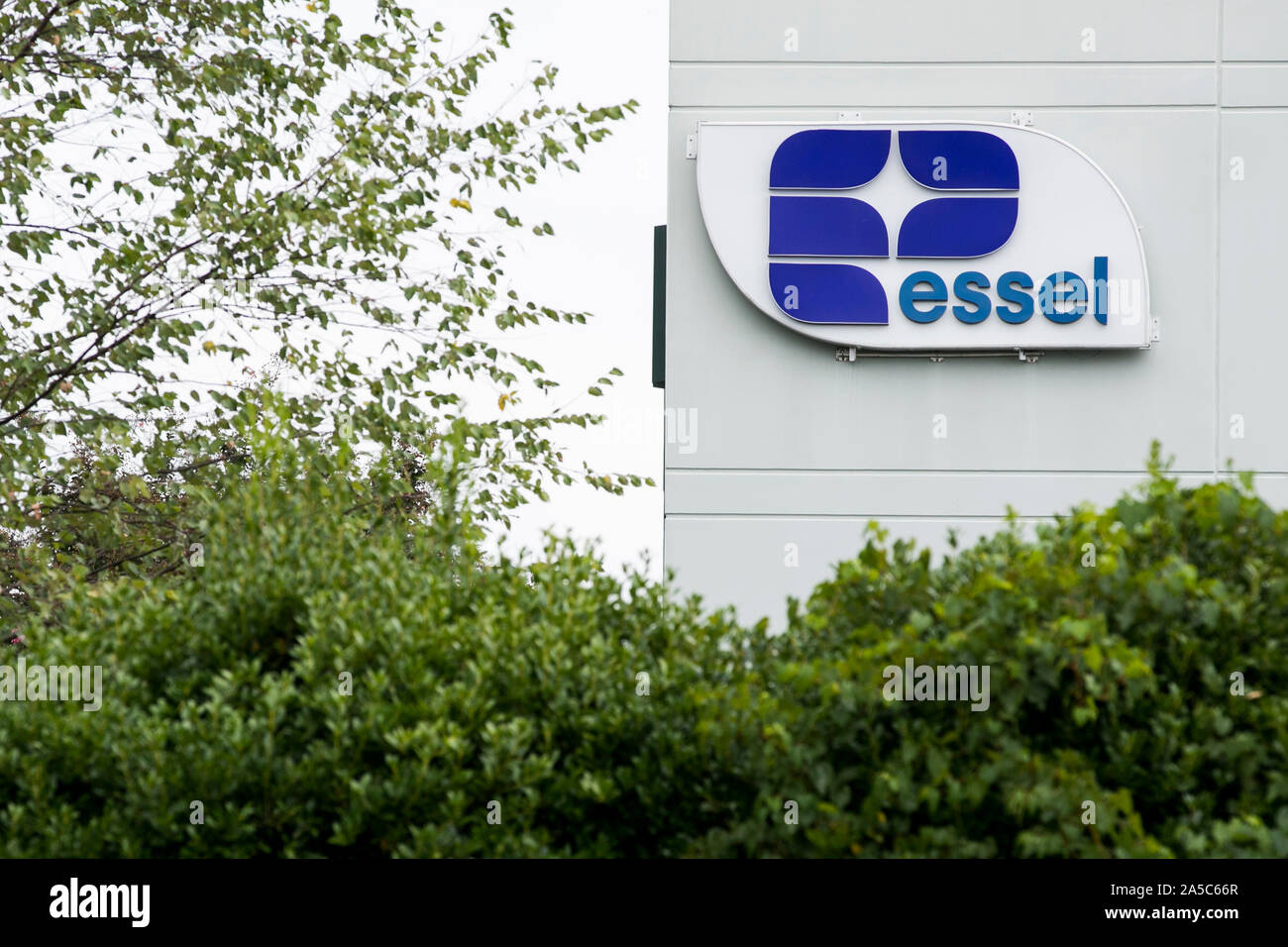 Essel hi-res stock photography and images - Alamy