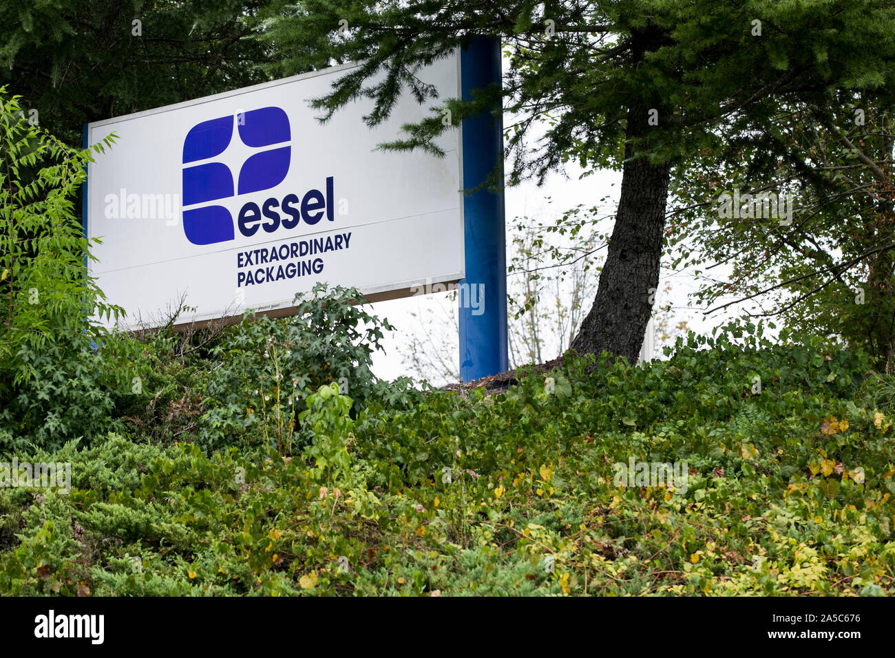 A logo sign outside of a facility occupied by Essel Propack in Danville ...