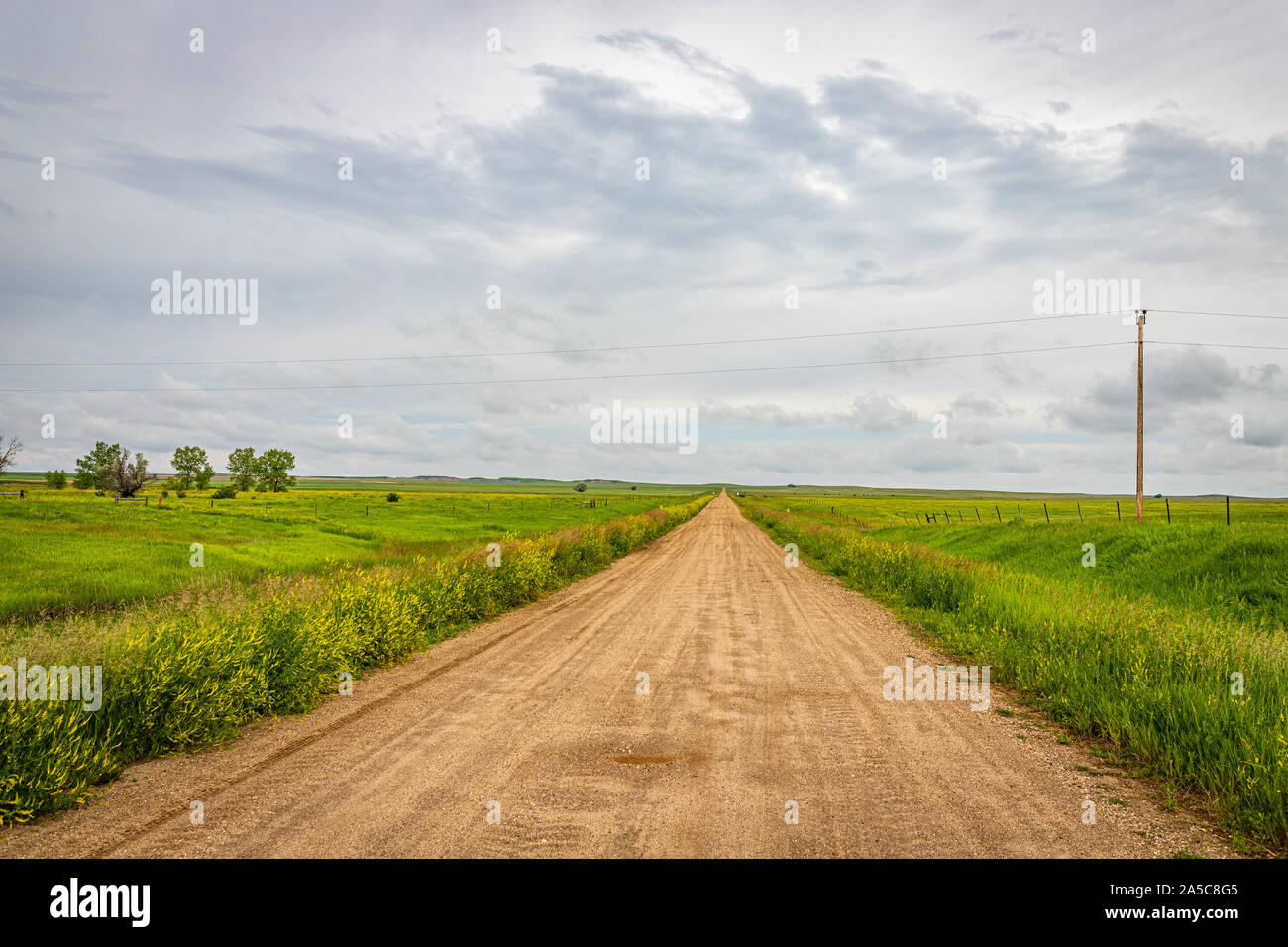 Dakota jackson hi-res stock photography and images - Alamy