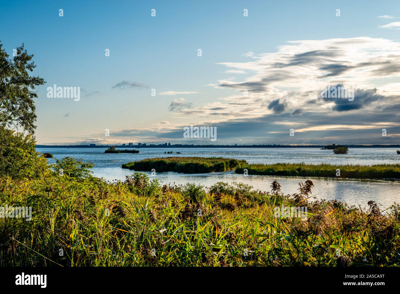 Scenic view by the riverside Stock Photo - Alamy