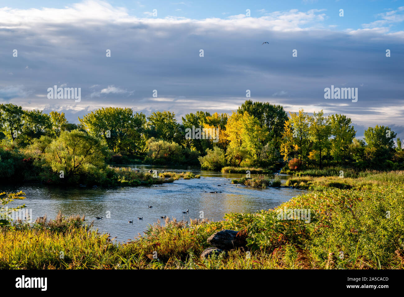 Rivers scene view blue sky hi-res stock photography and images - Alamy