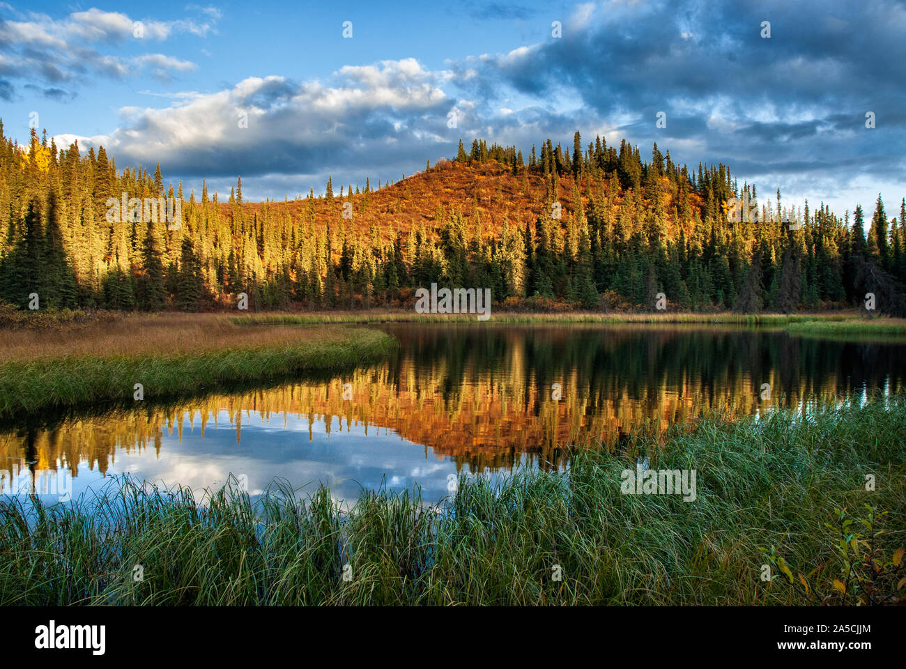 North America; United States; Alaska; Alaska Range Mountains; Denali ...