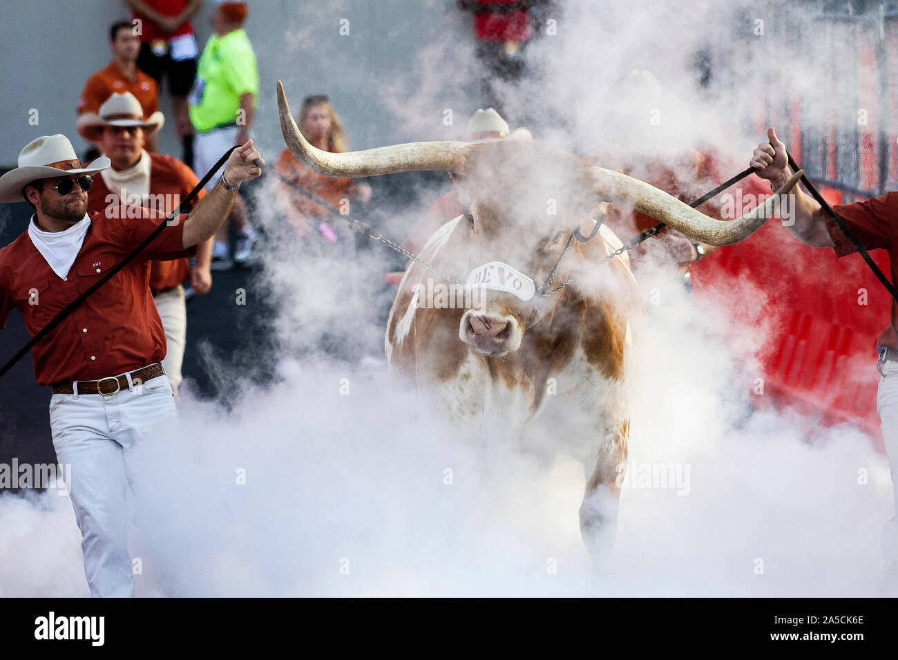 October 19, 2019: Texas Longhorns Mascot Bevo in action during the NCAA ...