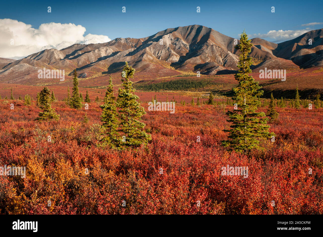 North America; United States; Alaska; Alaska Range Mountains; Denali ...