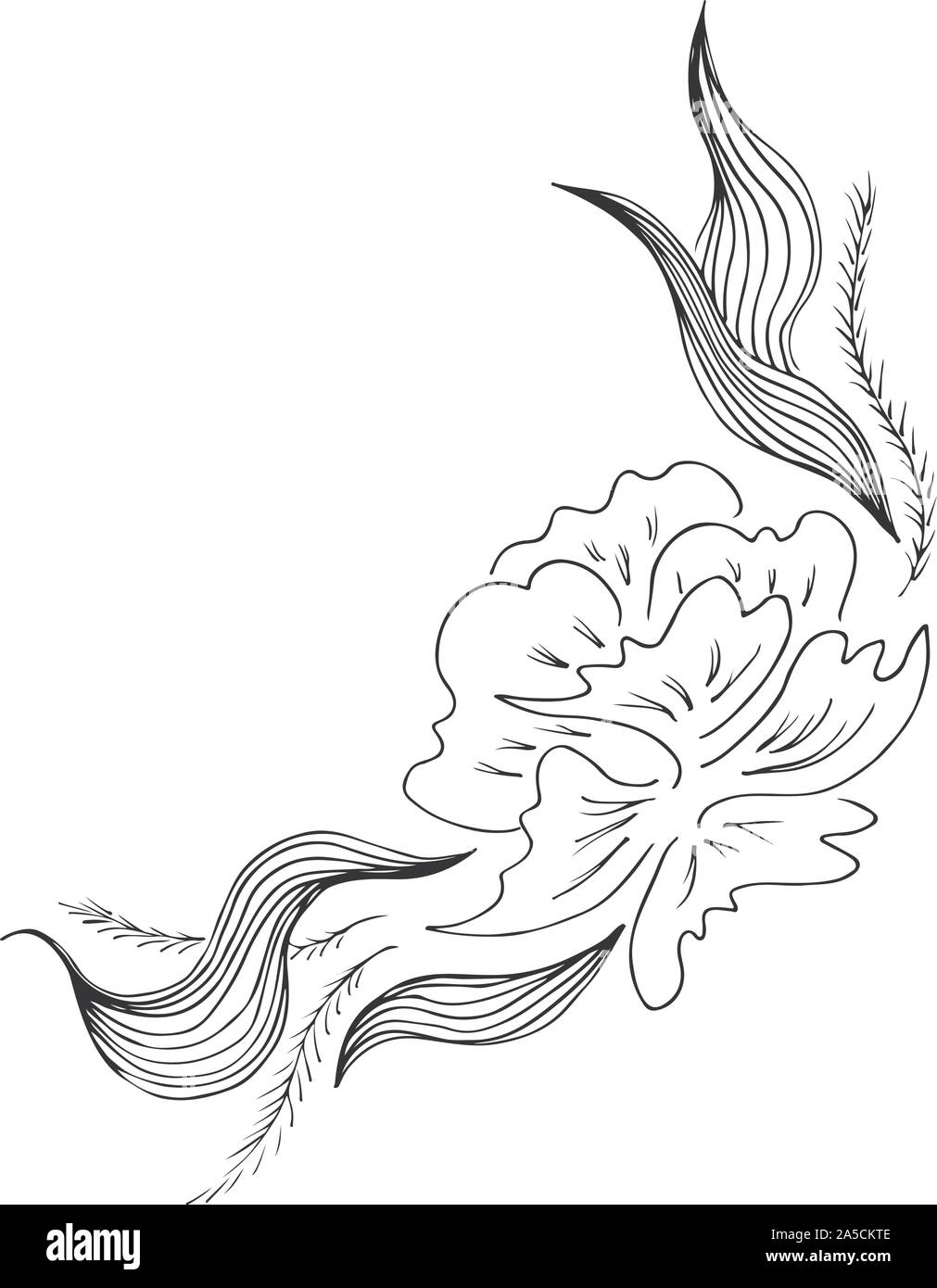 Engraved hand drawn abstract orchid. Retro flowers hand outline orchid ...