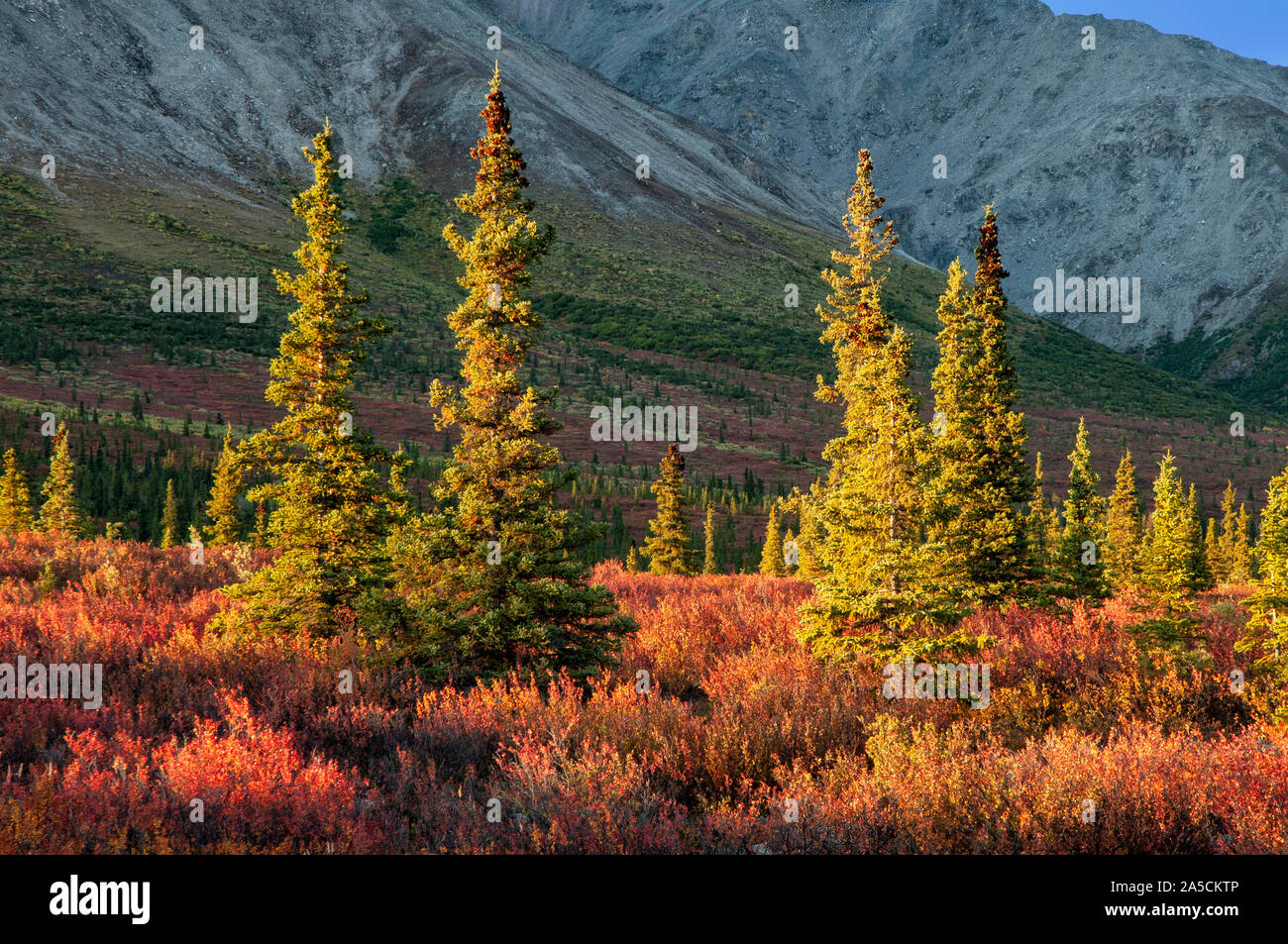 North America; United States; Alaska; Alaska Range Mountains; Denali ...