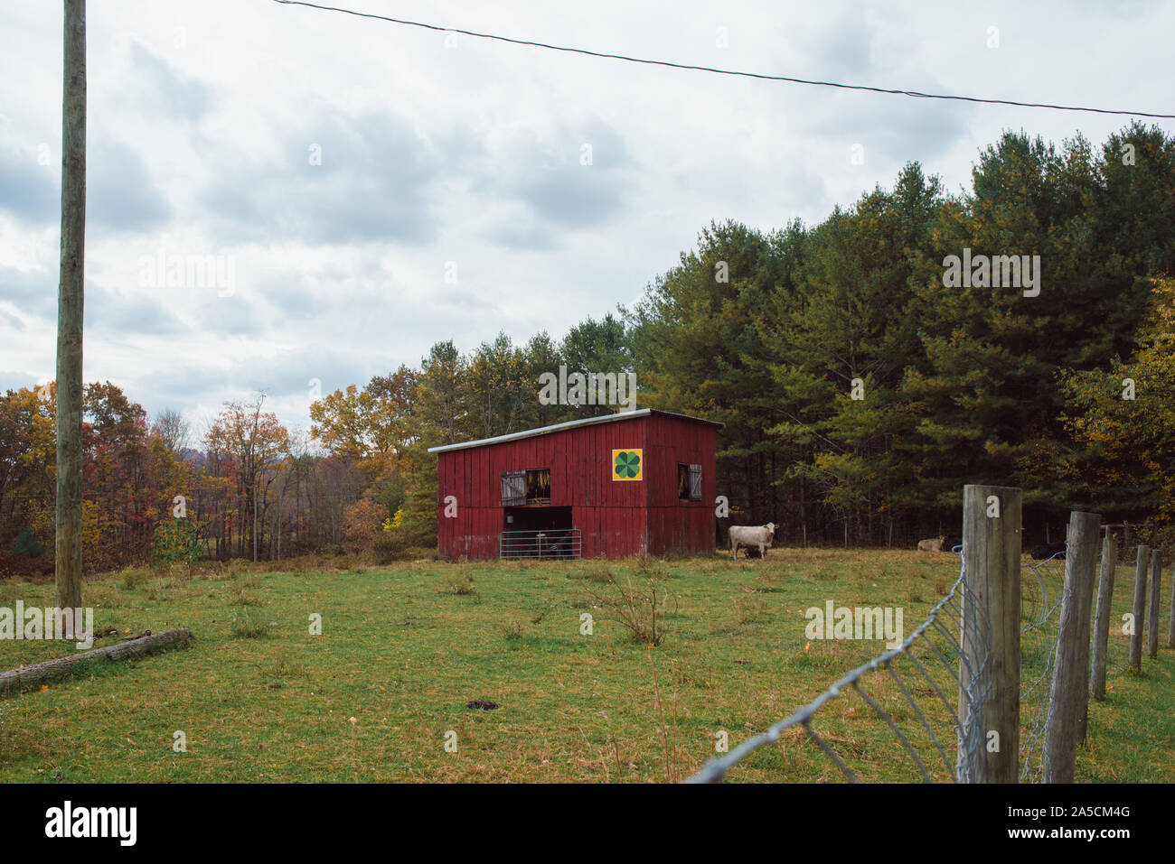 Cows And Red Barn High Resolution Stock Photography and Images - Alamy