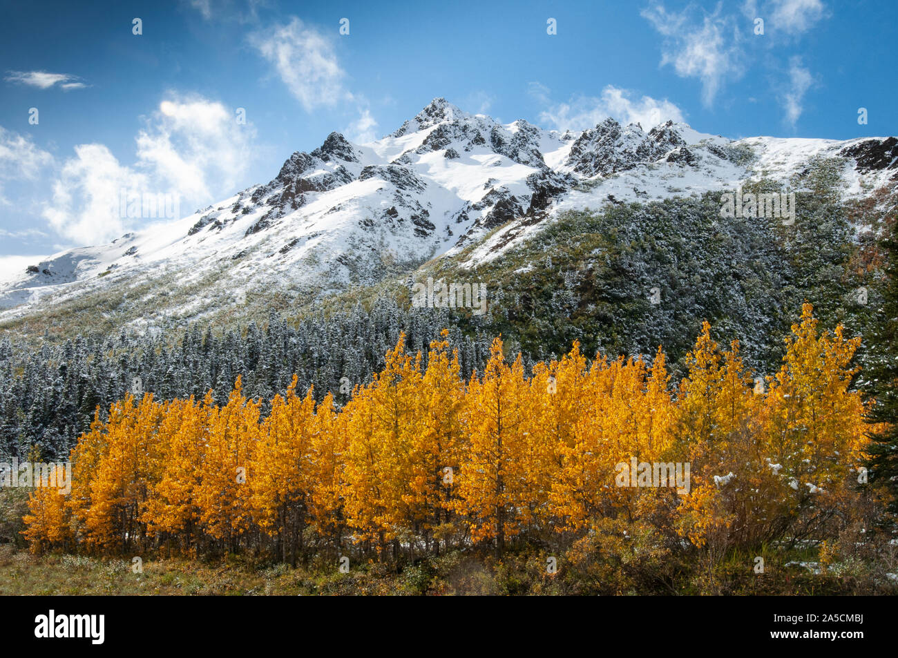 North America; United States; Alaska; Alaska Range Mountains; Denali ...
