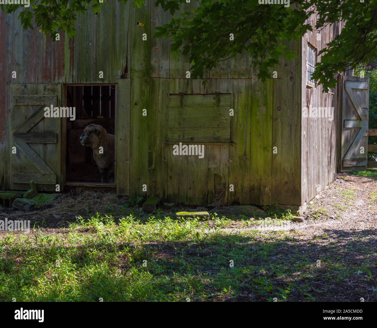 Farm fields and outbuildings hi-res stock photography and images - Alamy