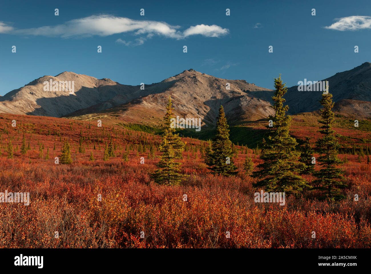 North America; United States; Alaska; Alaska Range Mountains; Denali ...