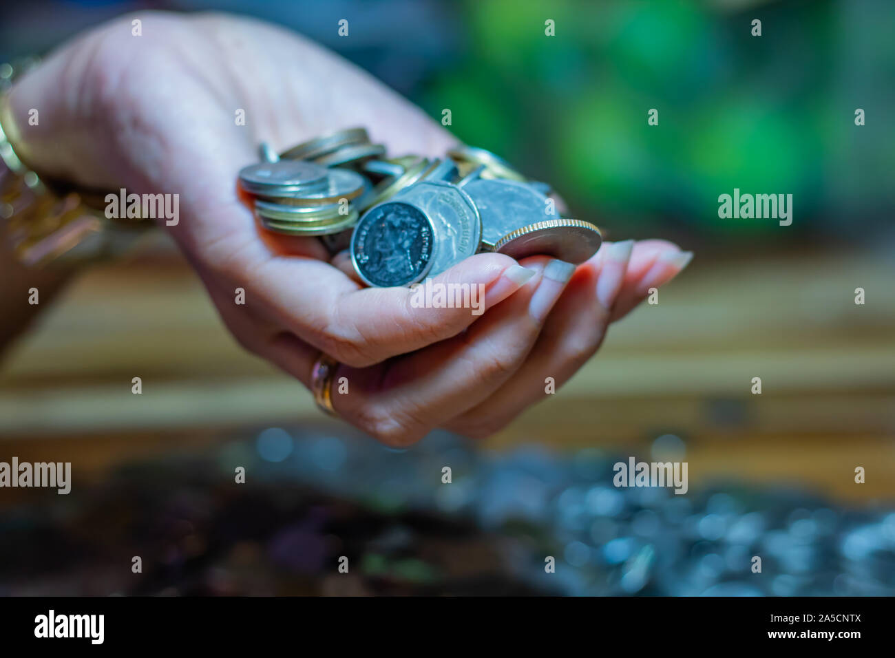 Hands growth green coins hi-res stock photography and images - Alamy