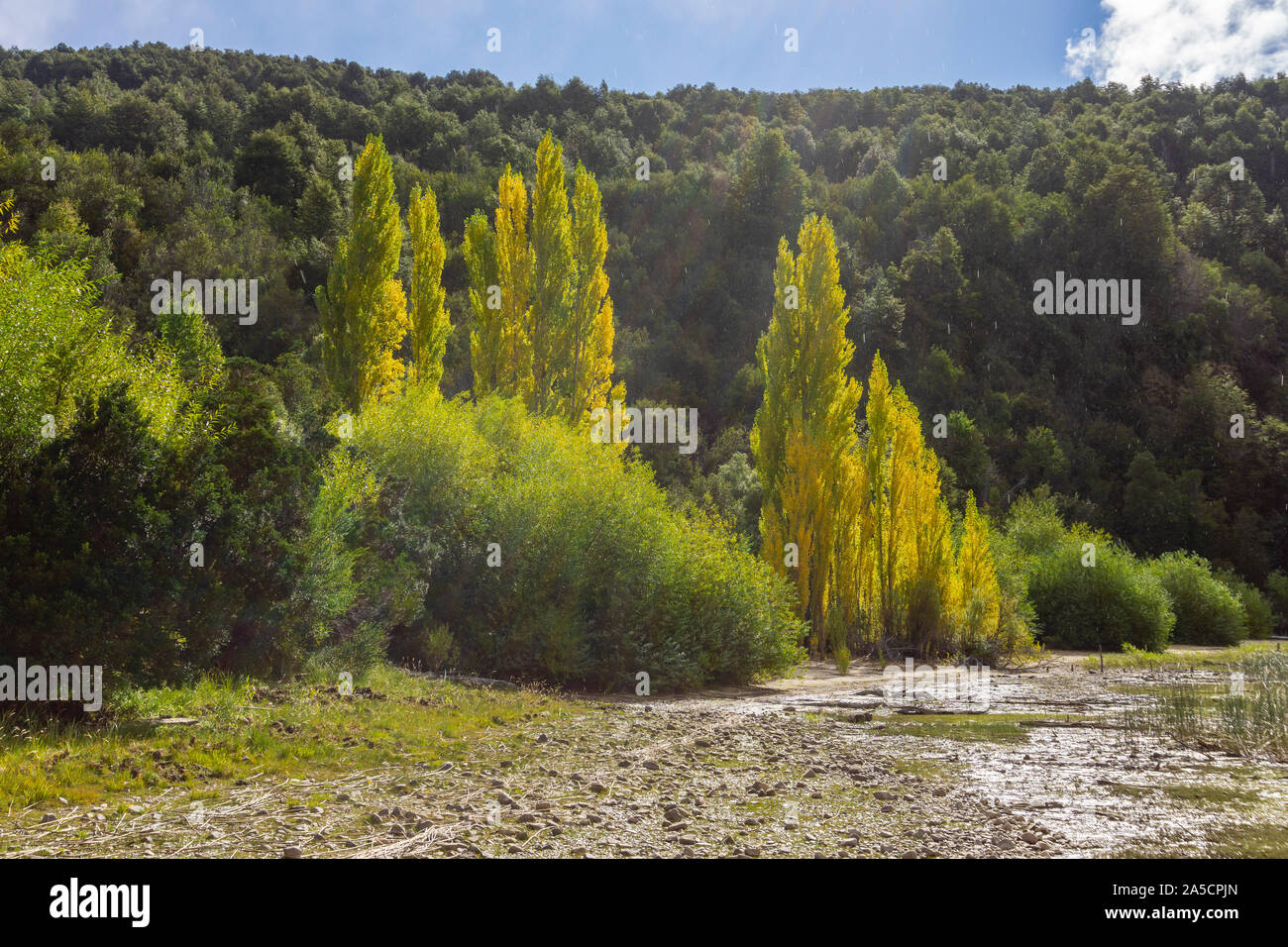 Autumn colors in the Andes mountains in Los Alerces National Park ...