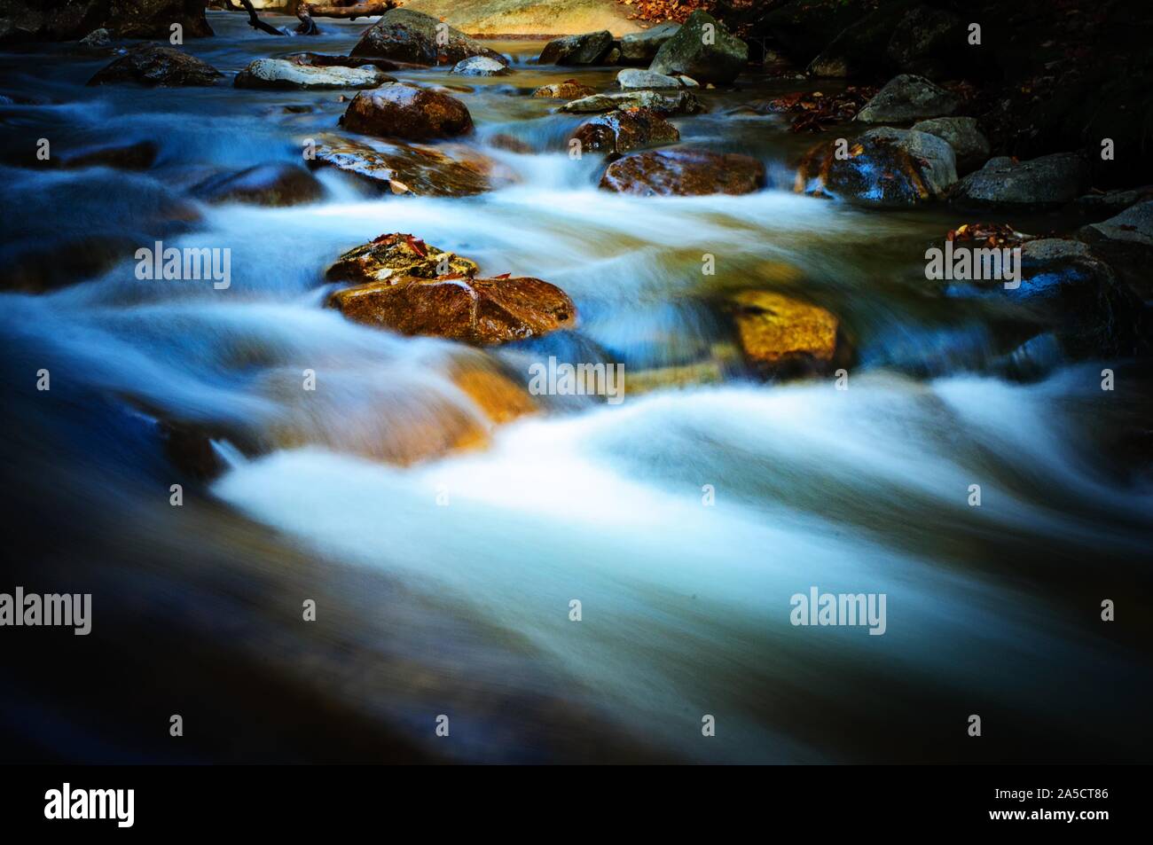 Curvy waterfall in the middle of a forest with high value colors Stock ...