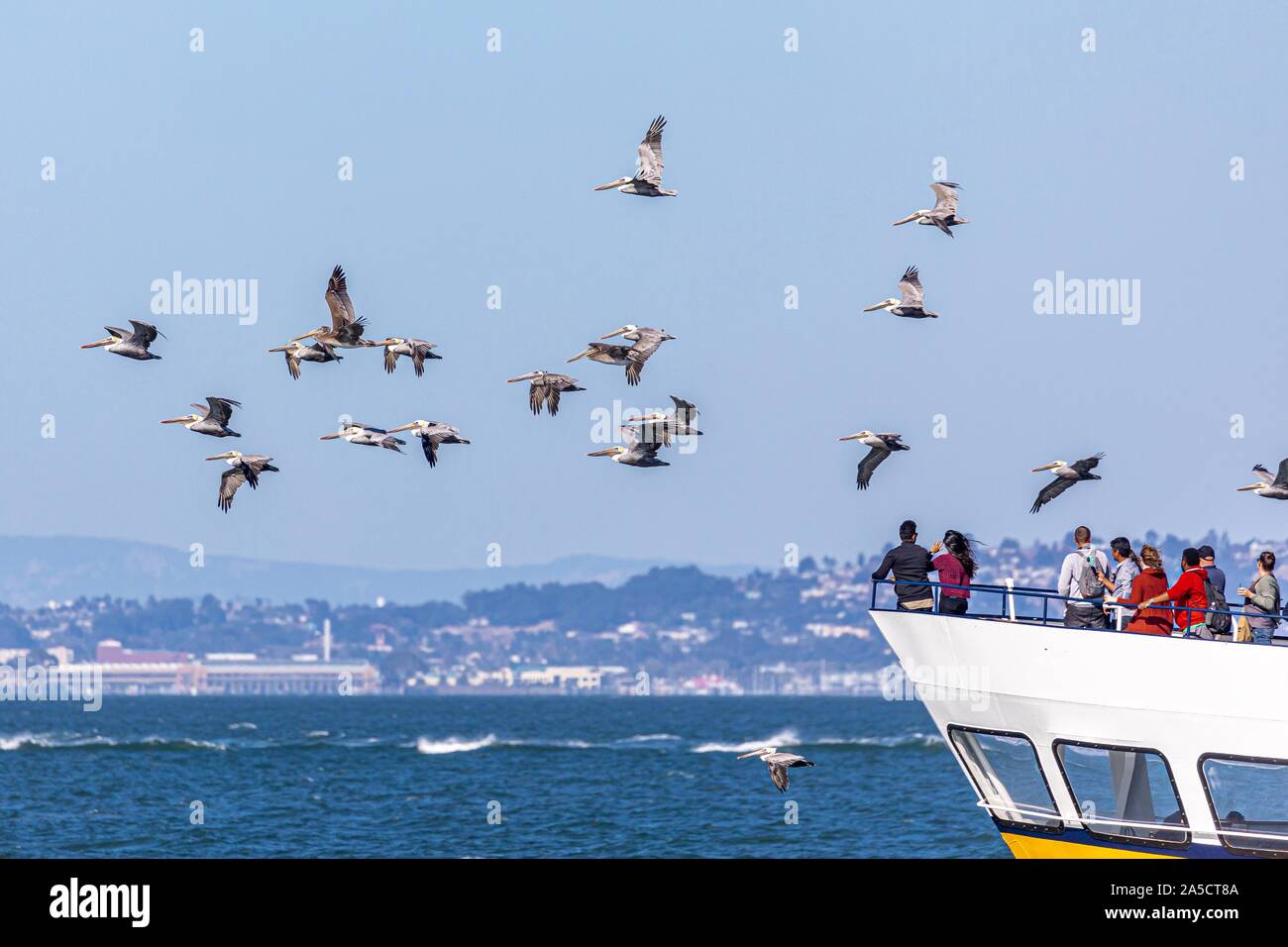 Tour boat people viewing sights hi-res stock photography and images - Alamy