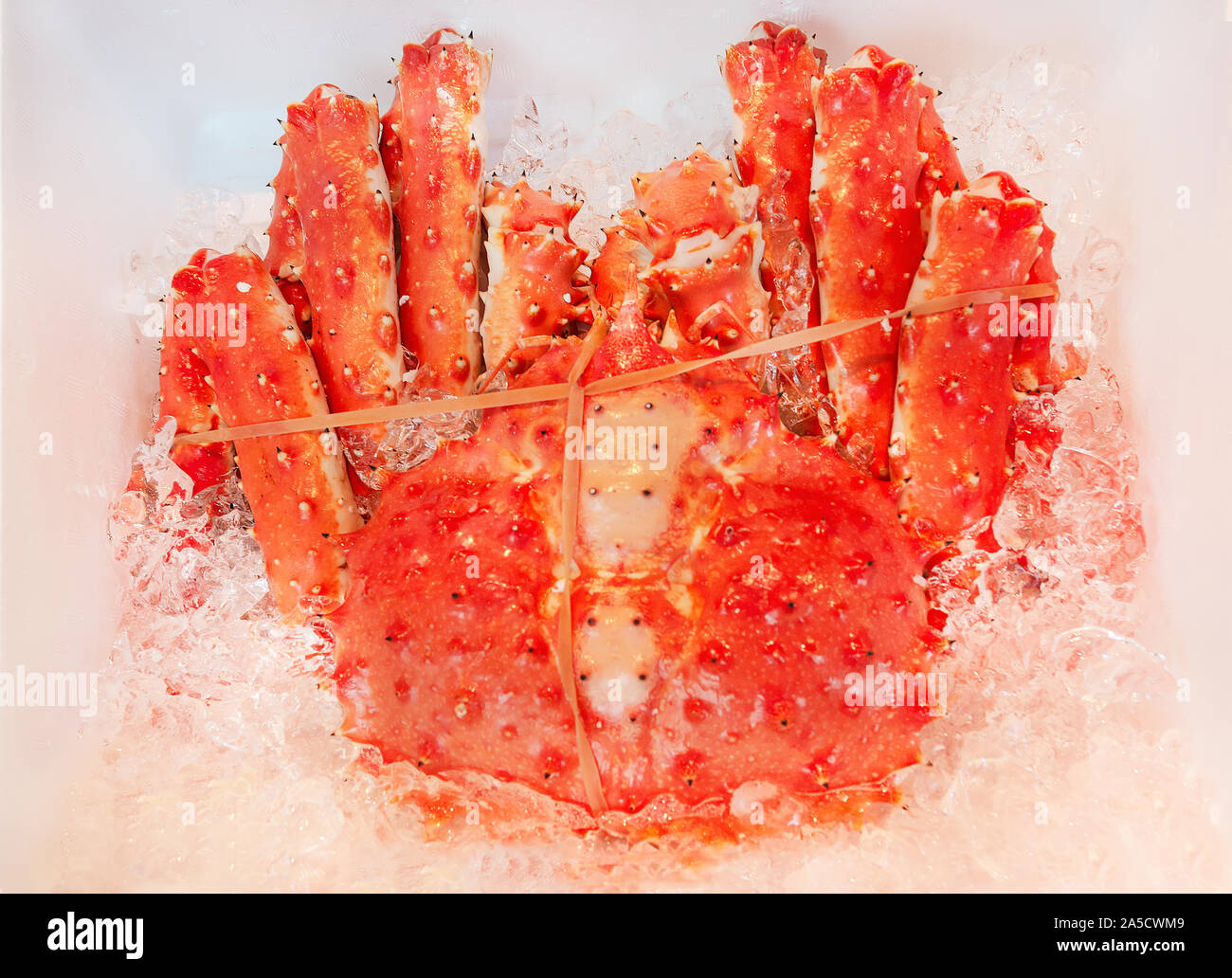 Japanese king crab displayed in the ice bucket for sale in Japan Stock ...