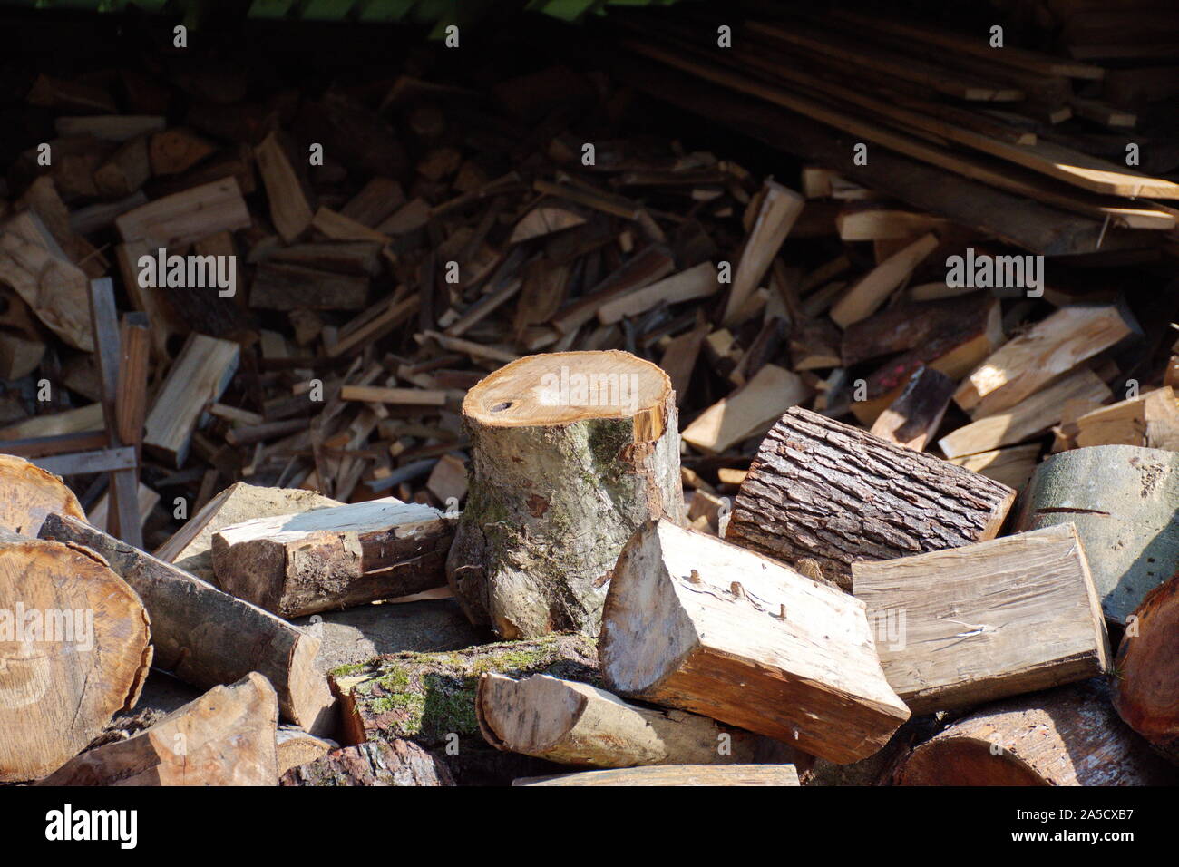 Gathering firewood hi-res stock photography and images - Alamy