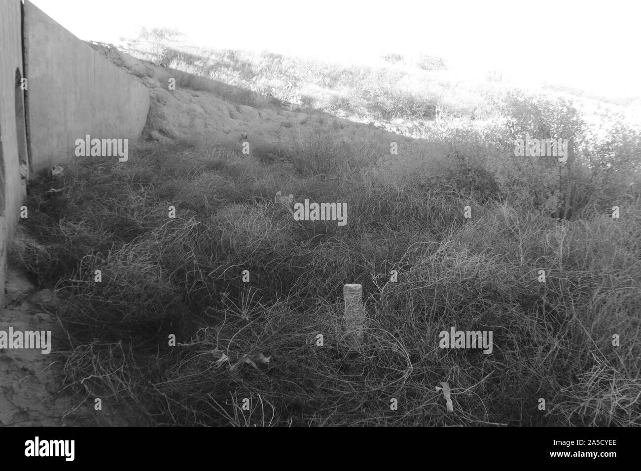 Ditch weeds hi-res stock photography and images - Alamy