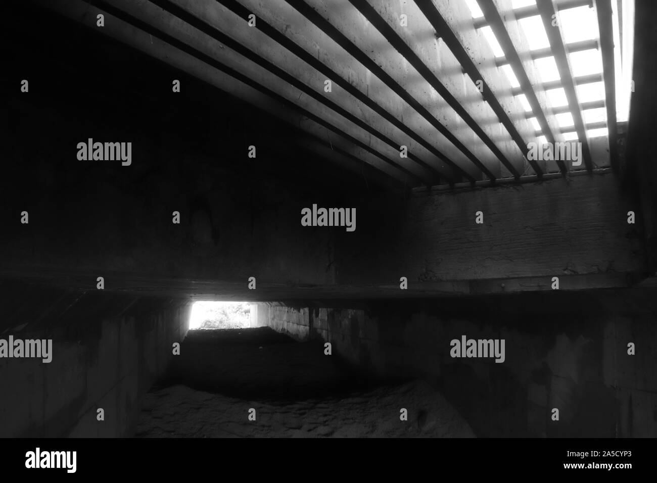 Ditch Black and White Stock Photos & Images - Alamy