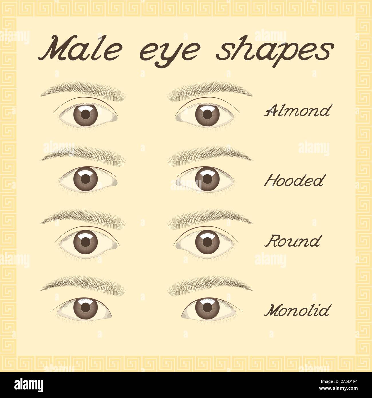 Hooded eye Stock Vector Images - Alamy