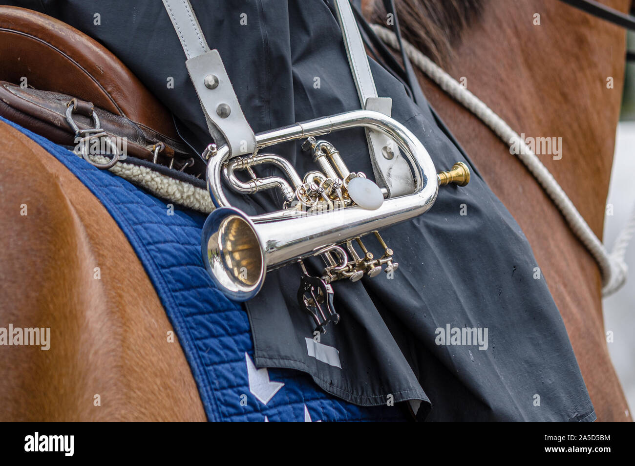 Cornet instrument hi-res stock photography and images - Alamy