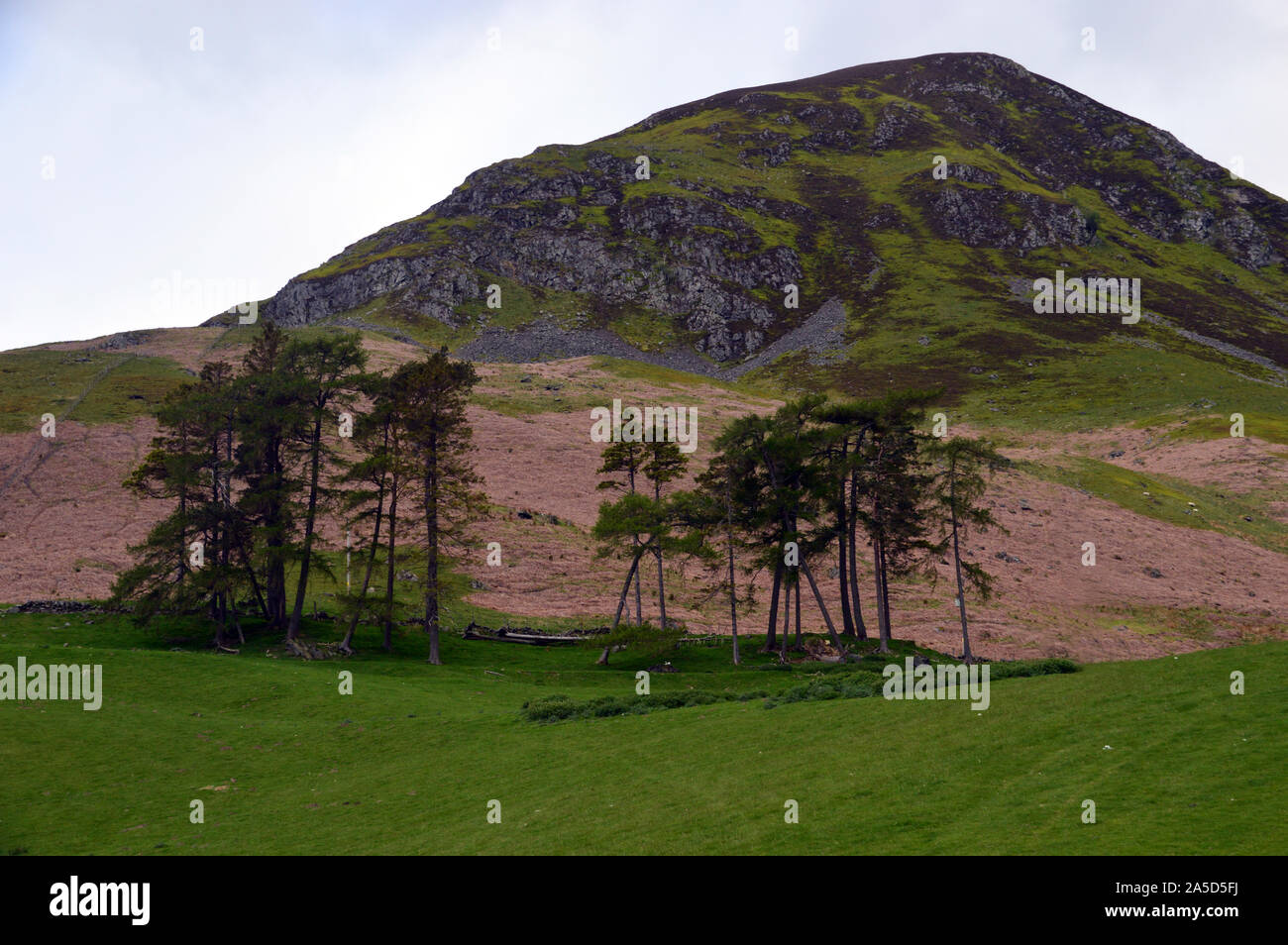 Glenshee hillwalker hi-res stock photography and images - Alamy