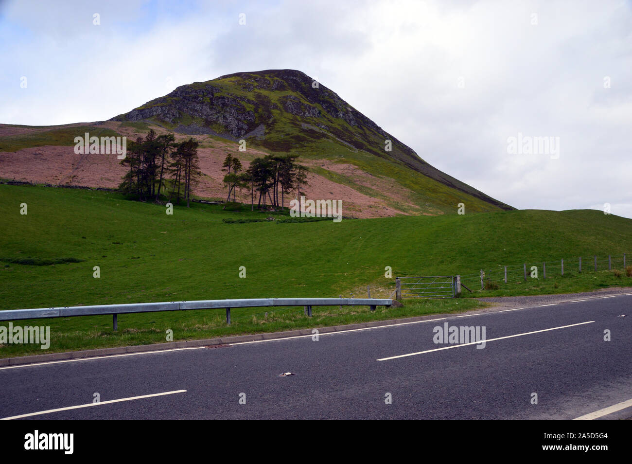 The Scottish Mountain Corbett Ben Gulabin from the A93 Road at Spittal ...