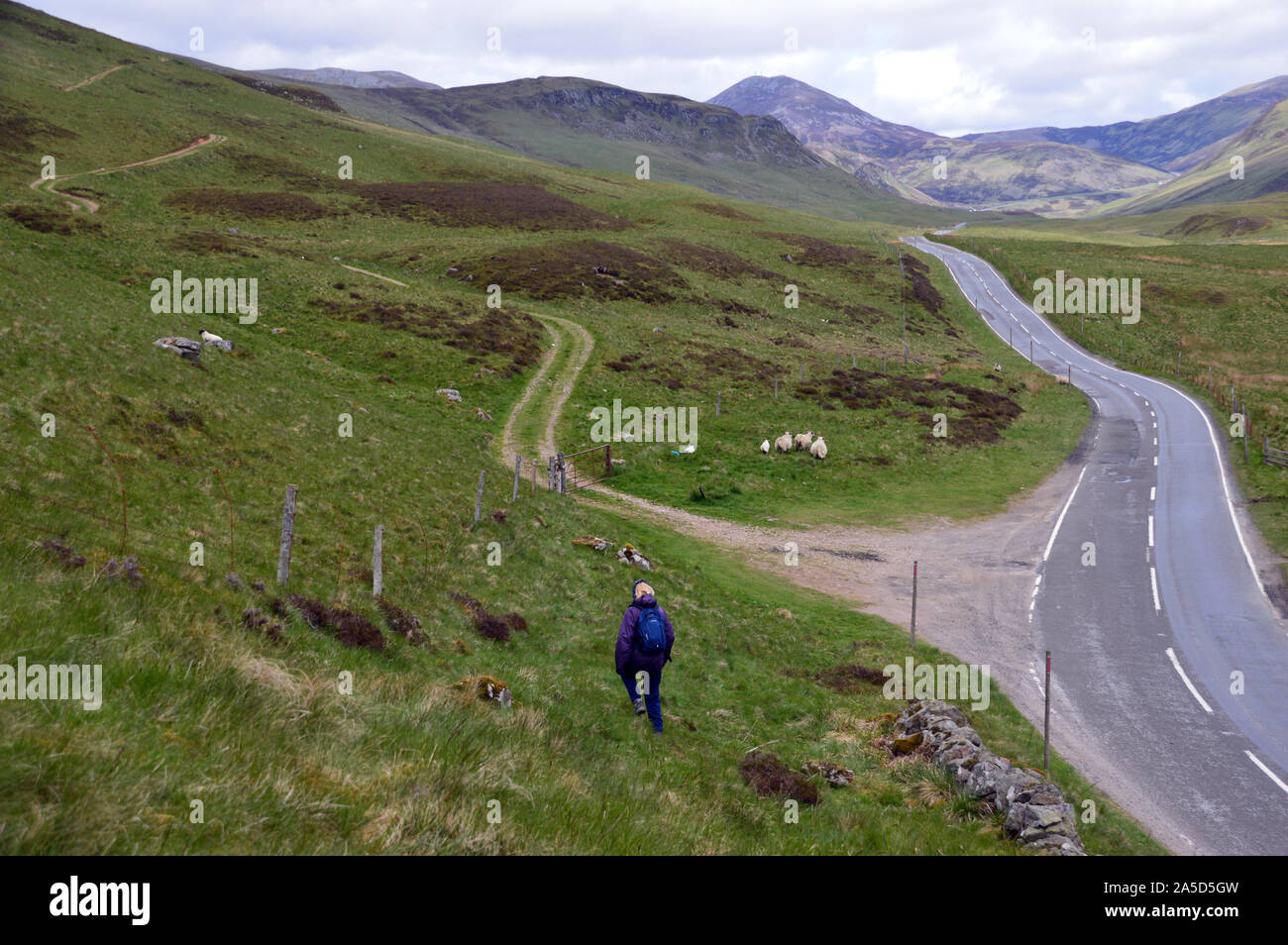 Glenshee hillwalker hi-res stock photography and images - Alamy
